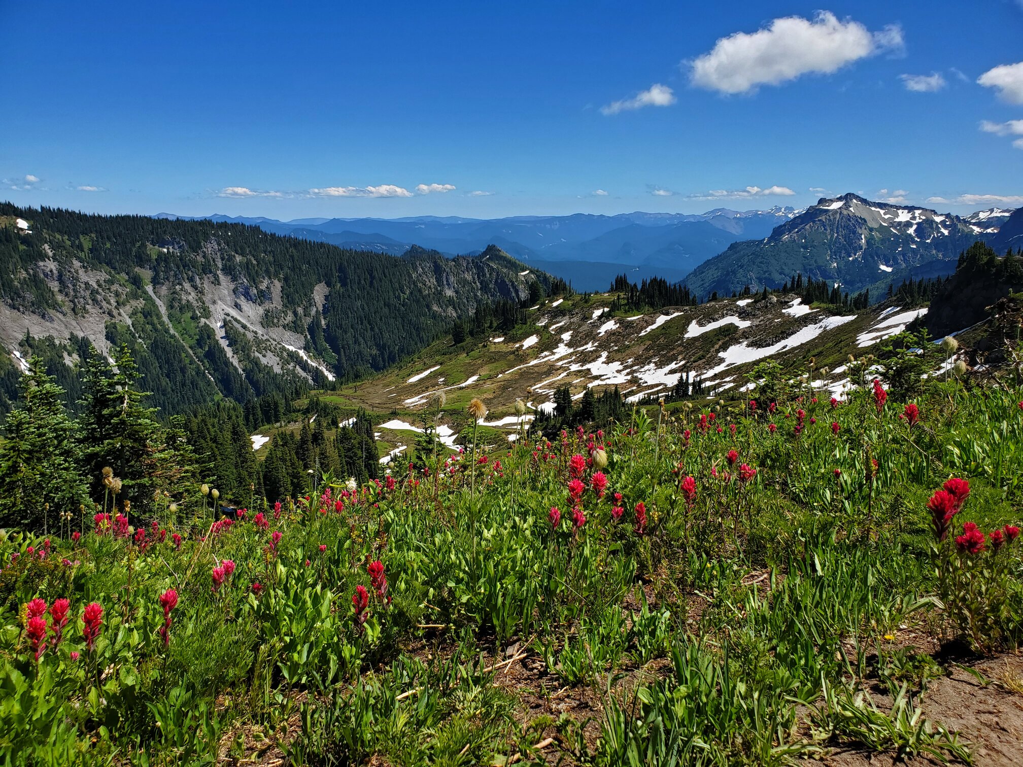 Washington: Olympic and Mount Rainier National Parks - RVing with Robin